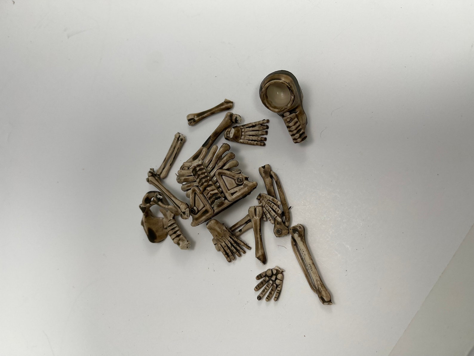 Miniature Skeleton Bones Miniature Shovel Mini Pile of - Etsy