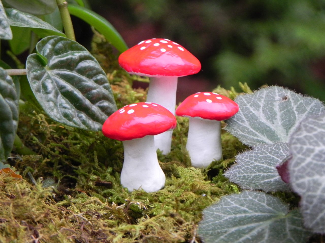 Fairy garden mushrooms miniature woodland toadstool set of 3 | Etsy