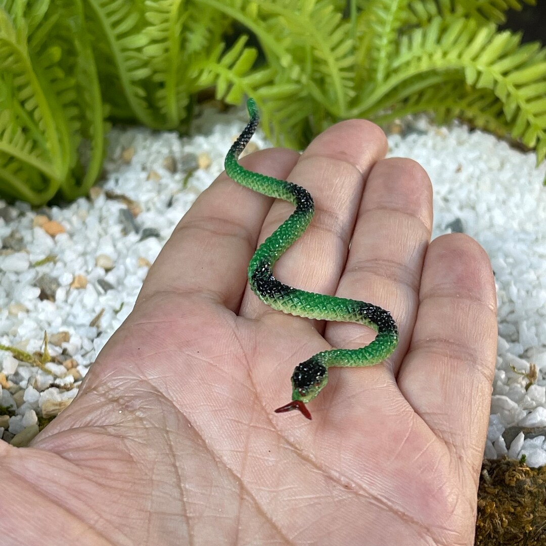 Miniature Snake, Plastic Snake, Miniature Garden Supplies, Terrarium ...