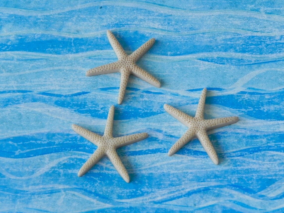 3 Miniature Starfish Beach Garden Accessory Flat Back | Etsy