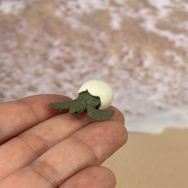 Miniature Sea Turtle Hatchling, Tiny Baby Turtles, Beach Garden ...
