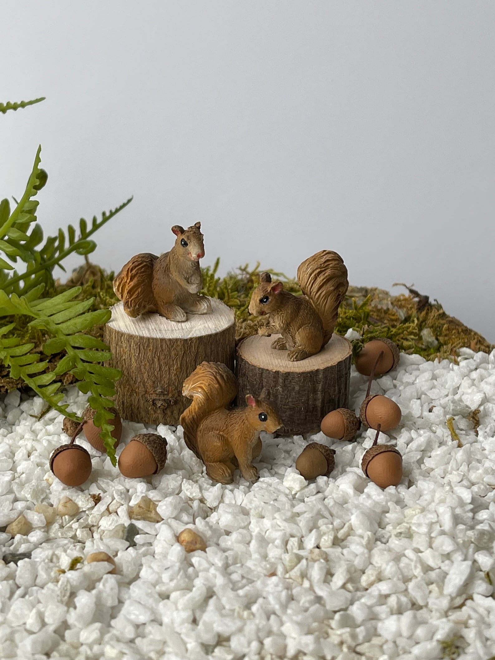 Miniature Squirrels, Mini Squirrels, Fairy Garden Accessories, SET OF 3 ...