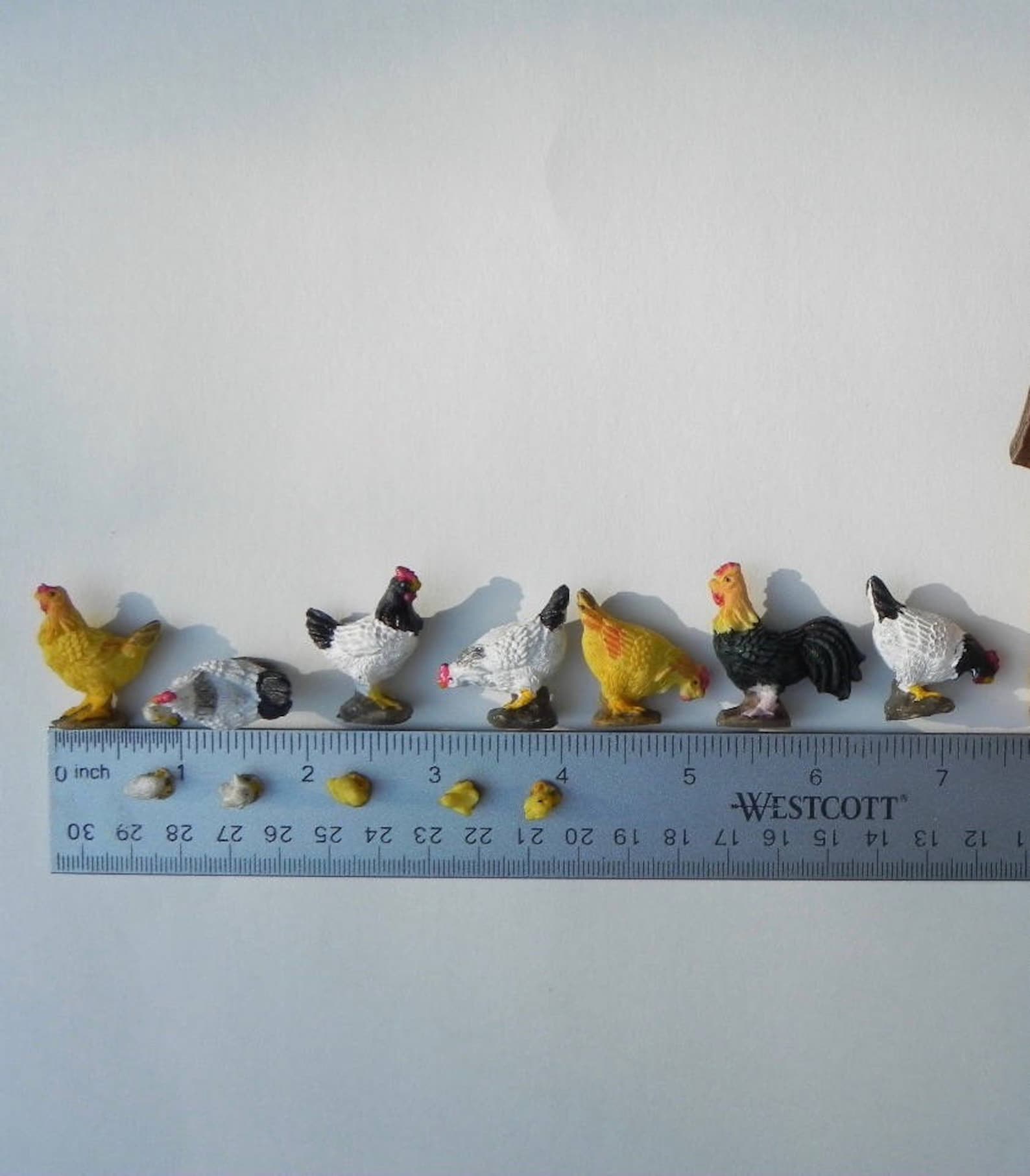 Miniature Chickens Micro Mini Chicks Rooster Hens Fairy - Etsy