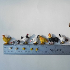 Miniature Chickens, Micro Mini Chicks, Rooster, Hens, Fairy Garden Farm ...