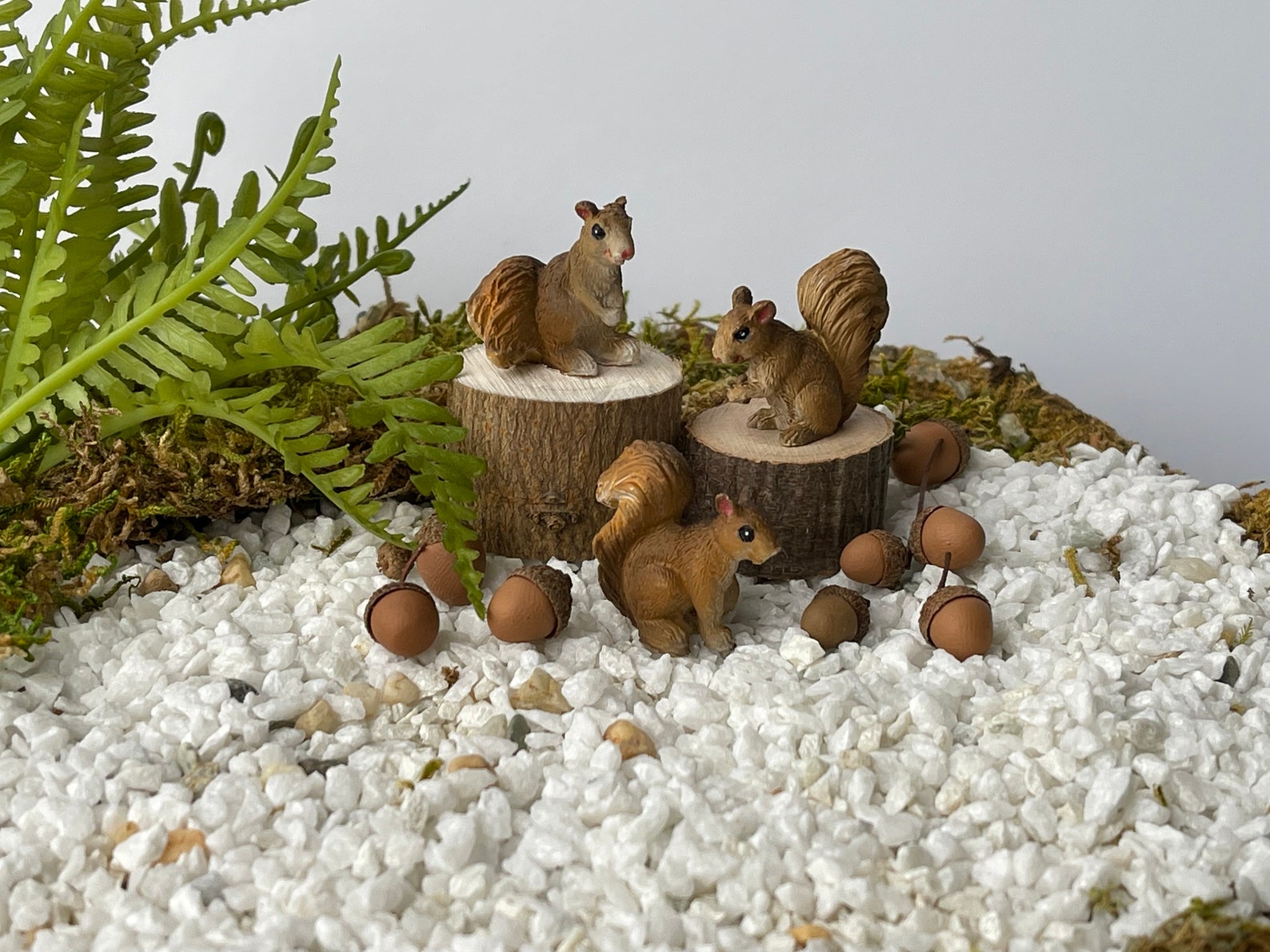 Miniature Squirrels, Mini Squirrels, Fairy Garden Accessories, SET OF 3 ...