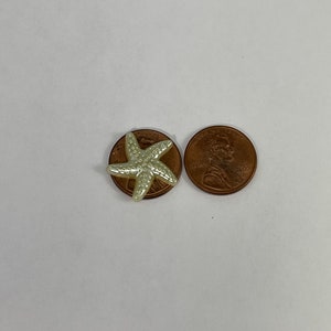 Miniature Starfish, Flat Back Embellishments, Flatback Cabochon, Craft ...