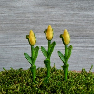 Miniature Corn Stalks, Set of 3, Fairy Garden Accessories, Fall ...