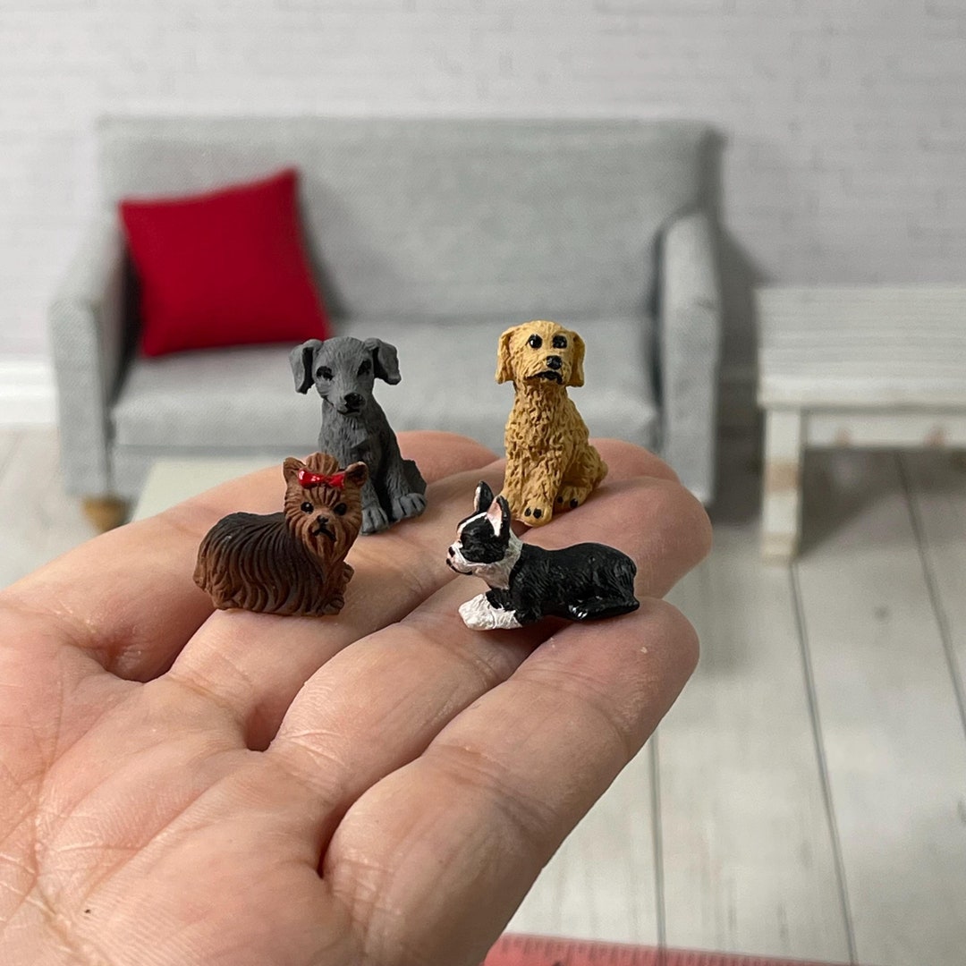 Micro Miniature Dog Puppy, Yorkshire Terrier Boston Terrier Golden ...