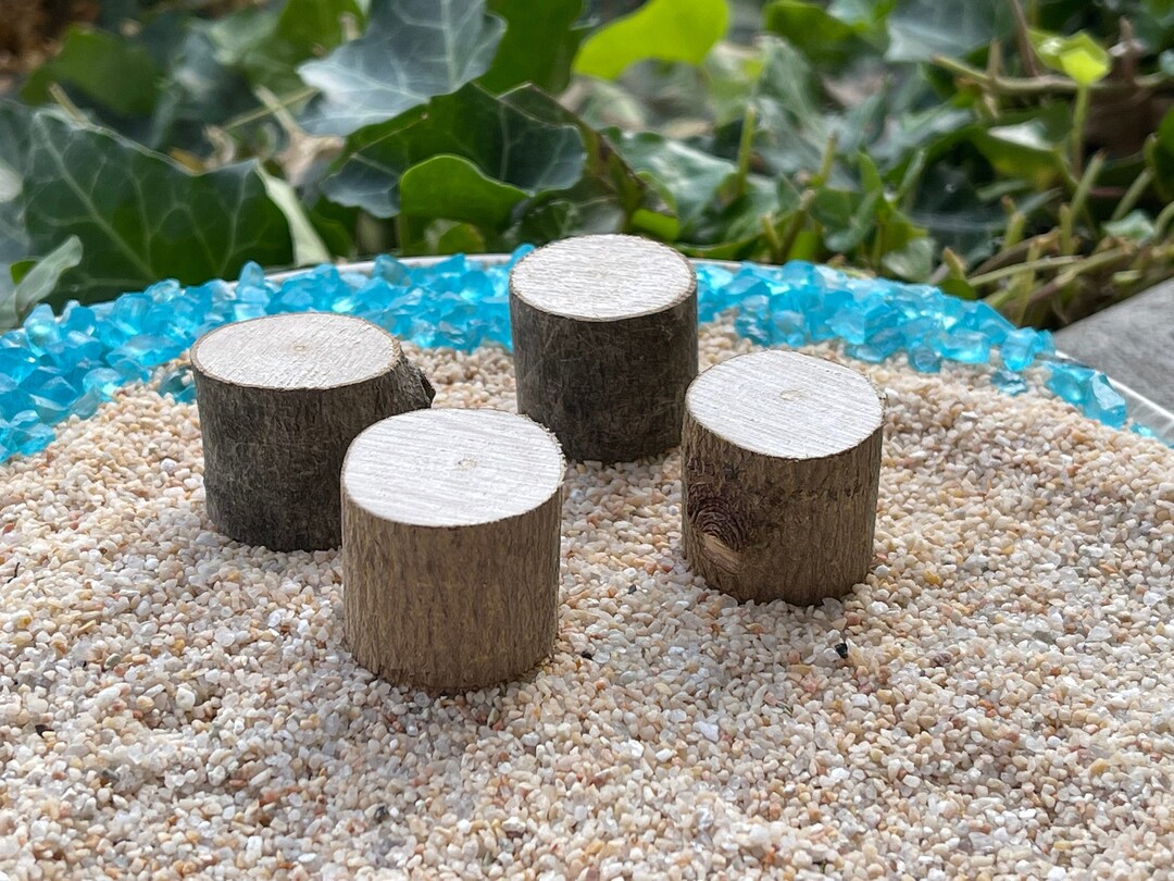 4 Mini Wood Stump, Real Wood, Miniature Wood Stumps, Diorama, Craft ...