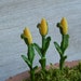 Miniature Corn Stalks, Set of 3, Fairy Garden Accessories, Fall ...