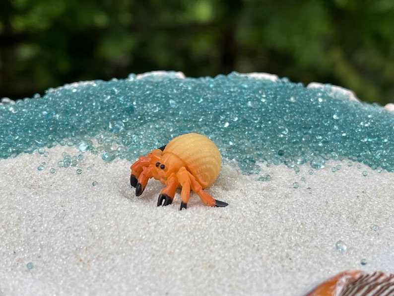 Miniature Crab, Mini Hermit Crab, Beach Garden Supplies, Terrarium ...