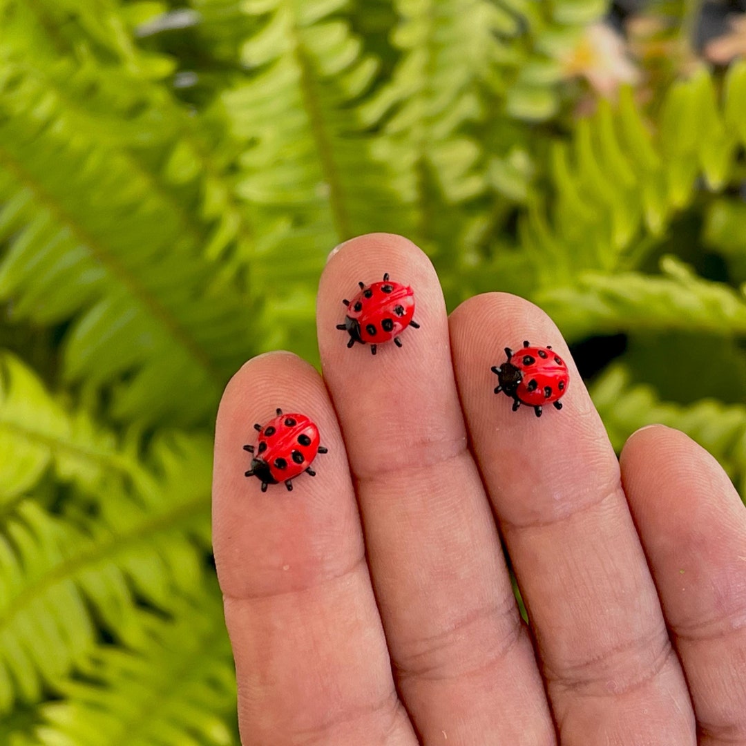 Miniature Ladybug, Tiny Ladybugs, Dollhouse Craft Supplies, Micro Mini ...