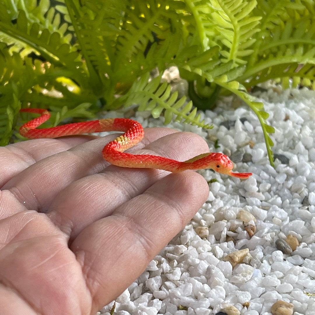 Miniature Snake, Plastic Snake, Miniature Garden Supplies, Terrarium ...