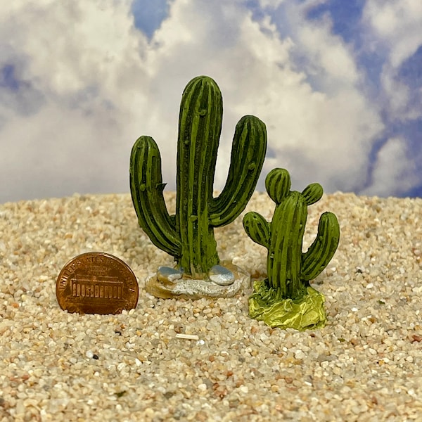 Miniature Cactus - Etsy