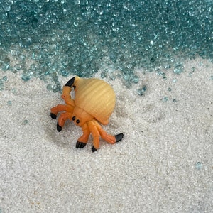 Miniature Crab, Mini Hermit Crab, Beach Garden Supplies, Terrarium ...