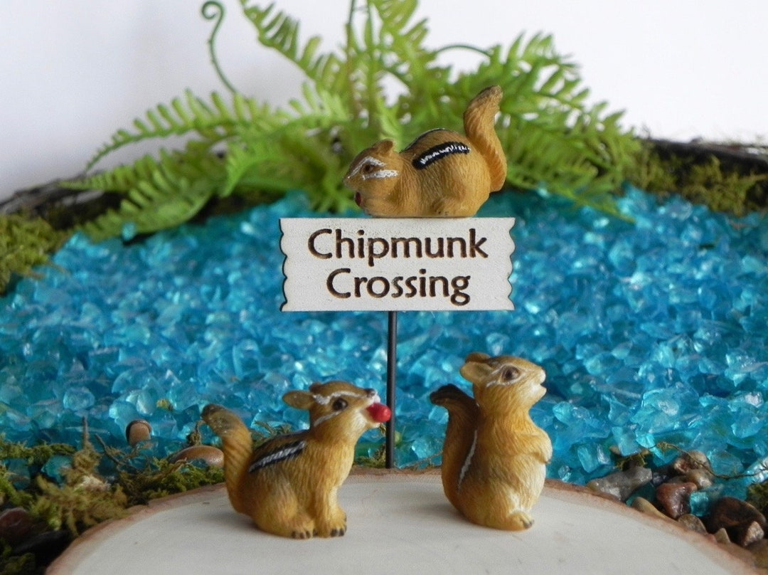 Miniature Chipmunks Figurine, Chipmunk Crossing Fairy Garden Sign ...