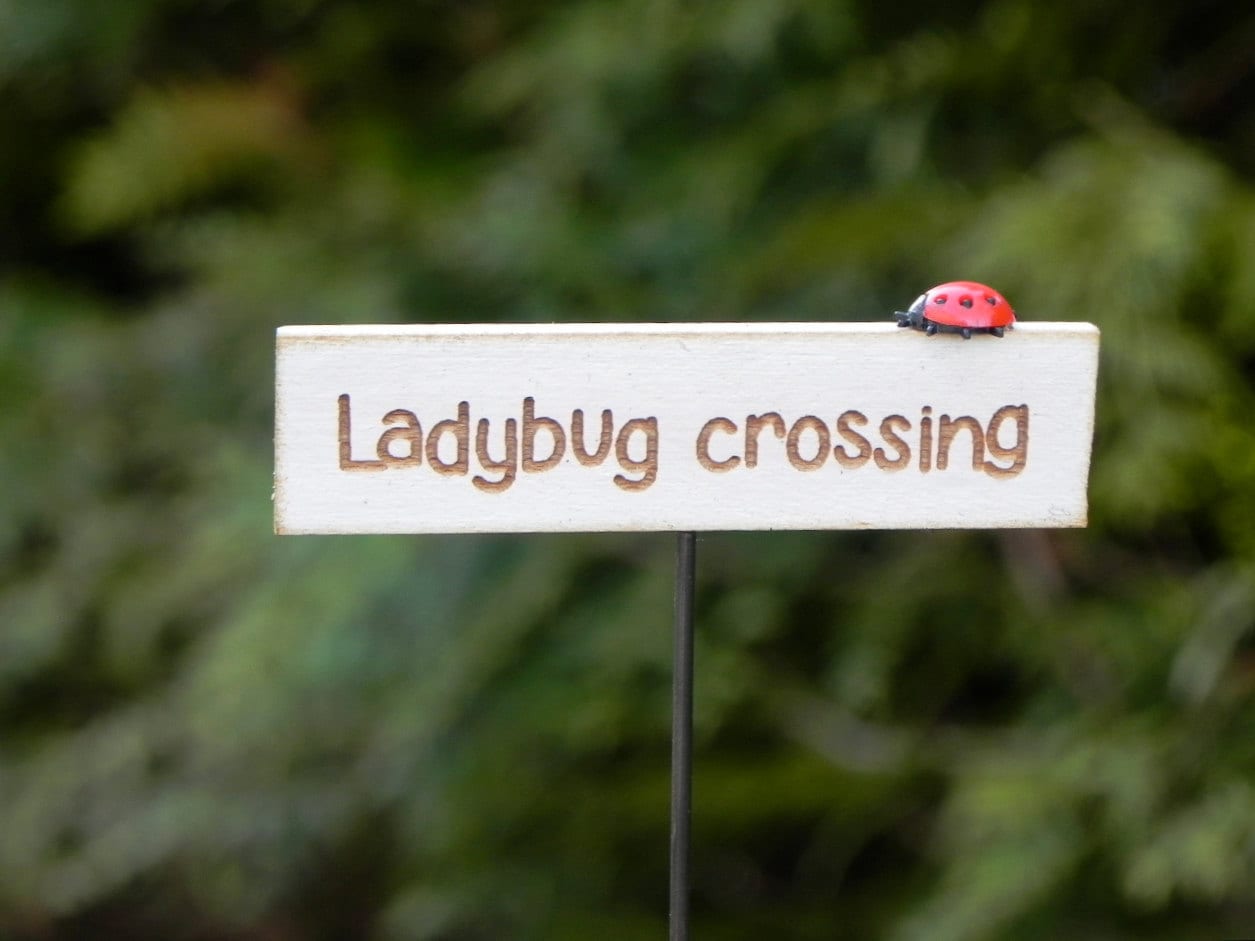 Miniature Ladybug and Sign, Fairy Garden Accessories, Ladybug Crossing ...