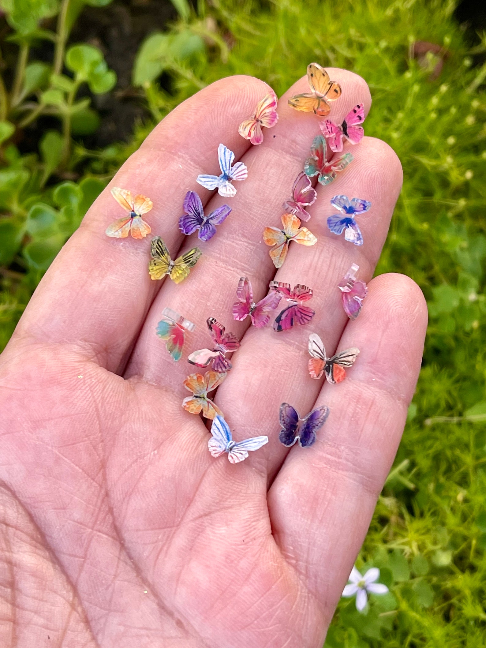 Micro Miniature Butterflies Kawaii Butterfly Tiny 8mm - Etsy UK