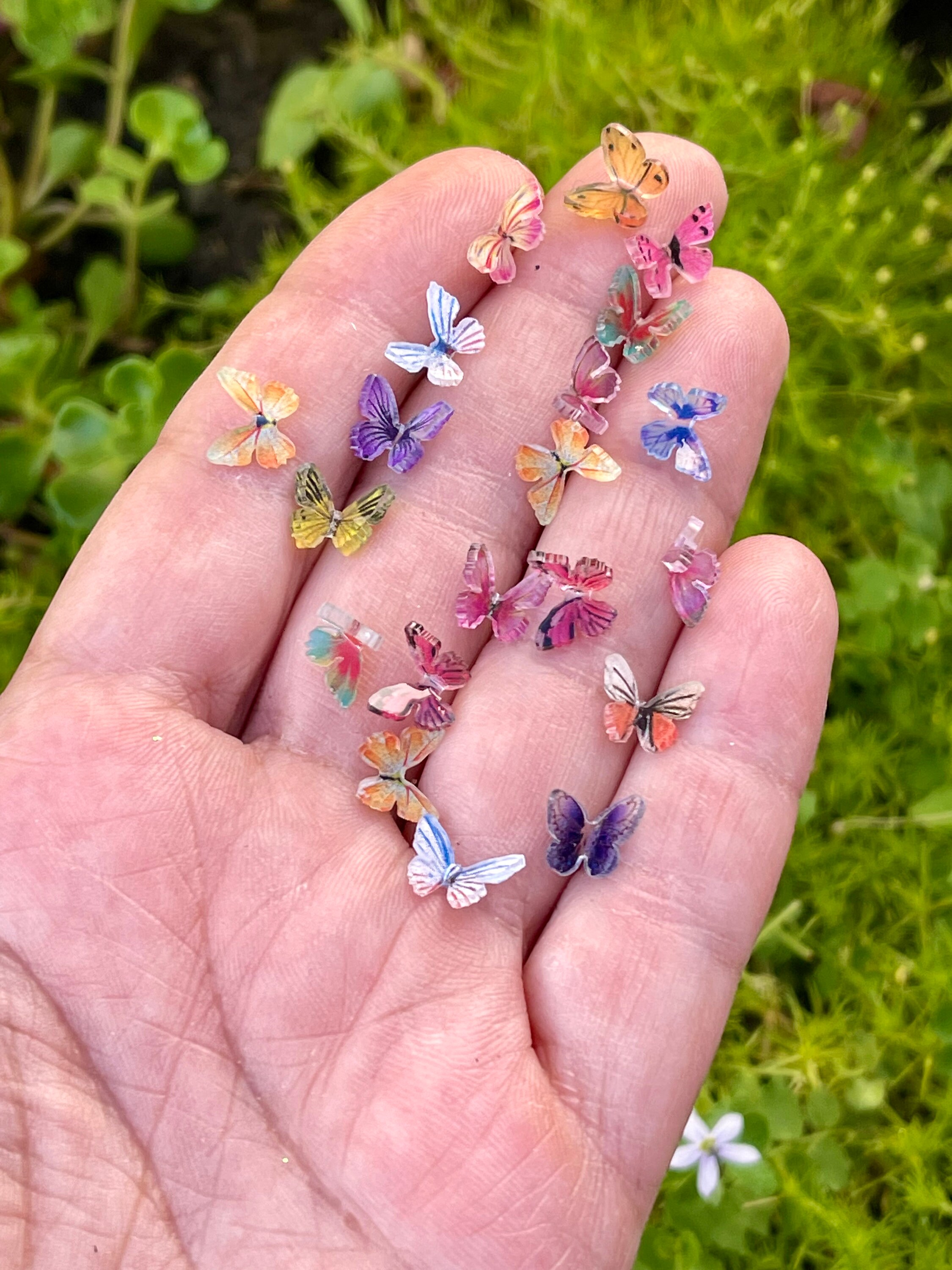 Micro Miniature Butterflies Kawaii Butterfly Tiny 8mm - Etsy UK