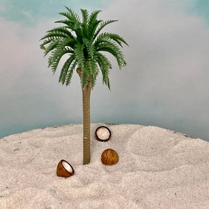 Miniature Coconuts, Miniature Palm Tree, Miniature Beach Garden ...