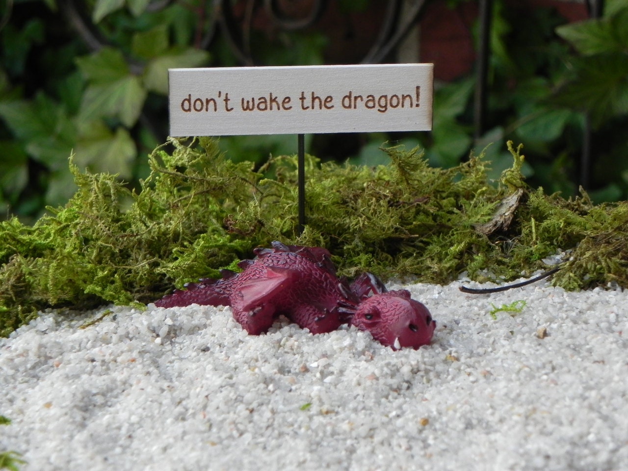 Miniature Dragon, Red, Wooden Sign, Fairy Garden Accessories, Miniature ...