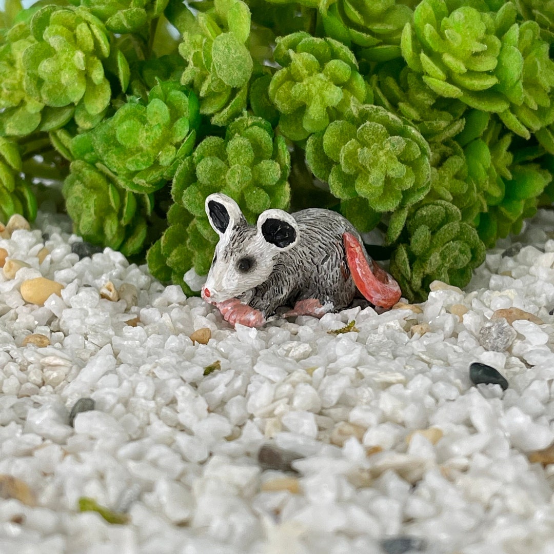 Miniature Possum Opossum Miniature Animals Terrarium Supply - Etsy