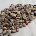 Fairy Garden Pebbles Stones, Pathway Rocks, Terrarium Supply, 8 Ounces ...