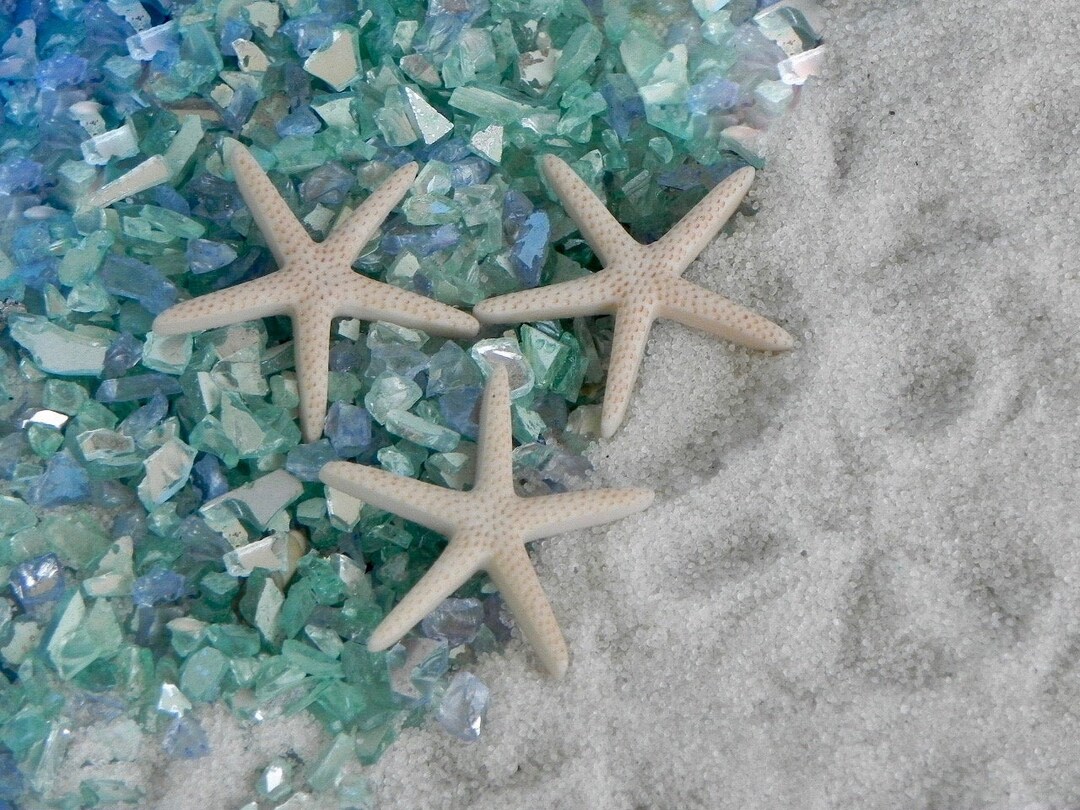 3 Miniature Starfish Beach Garden Accessory Flat Back - Etsy