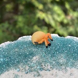 Miniature Crab, Mini Hermit Crab, Beach Garden Supplies, Terrarium ...