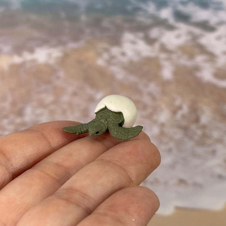 Miniature Sea Turtle Hatchling Tiny Baby Turtles Beach - Etsy