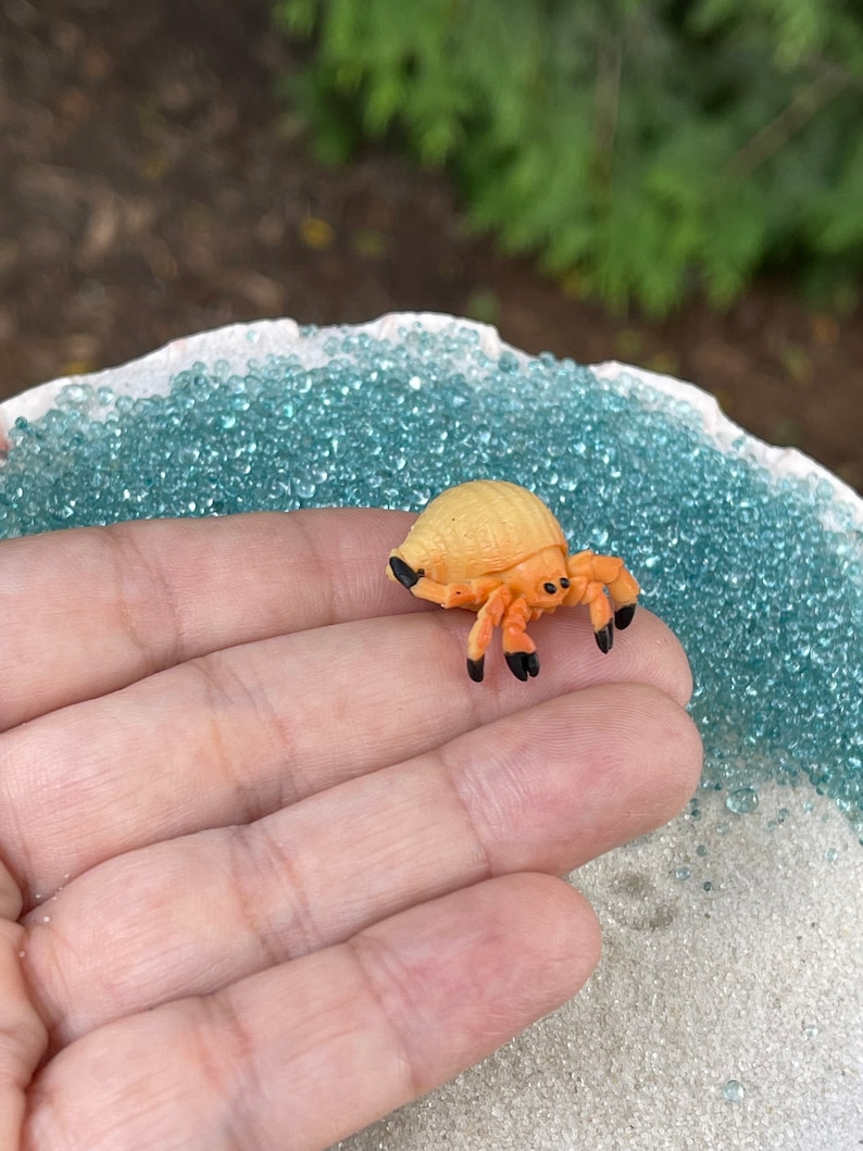Miniature Crab, Mini Hermit Crab, Beach Garden Supplies, Terrarium ...