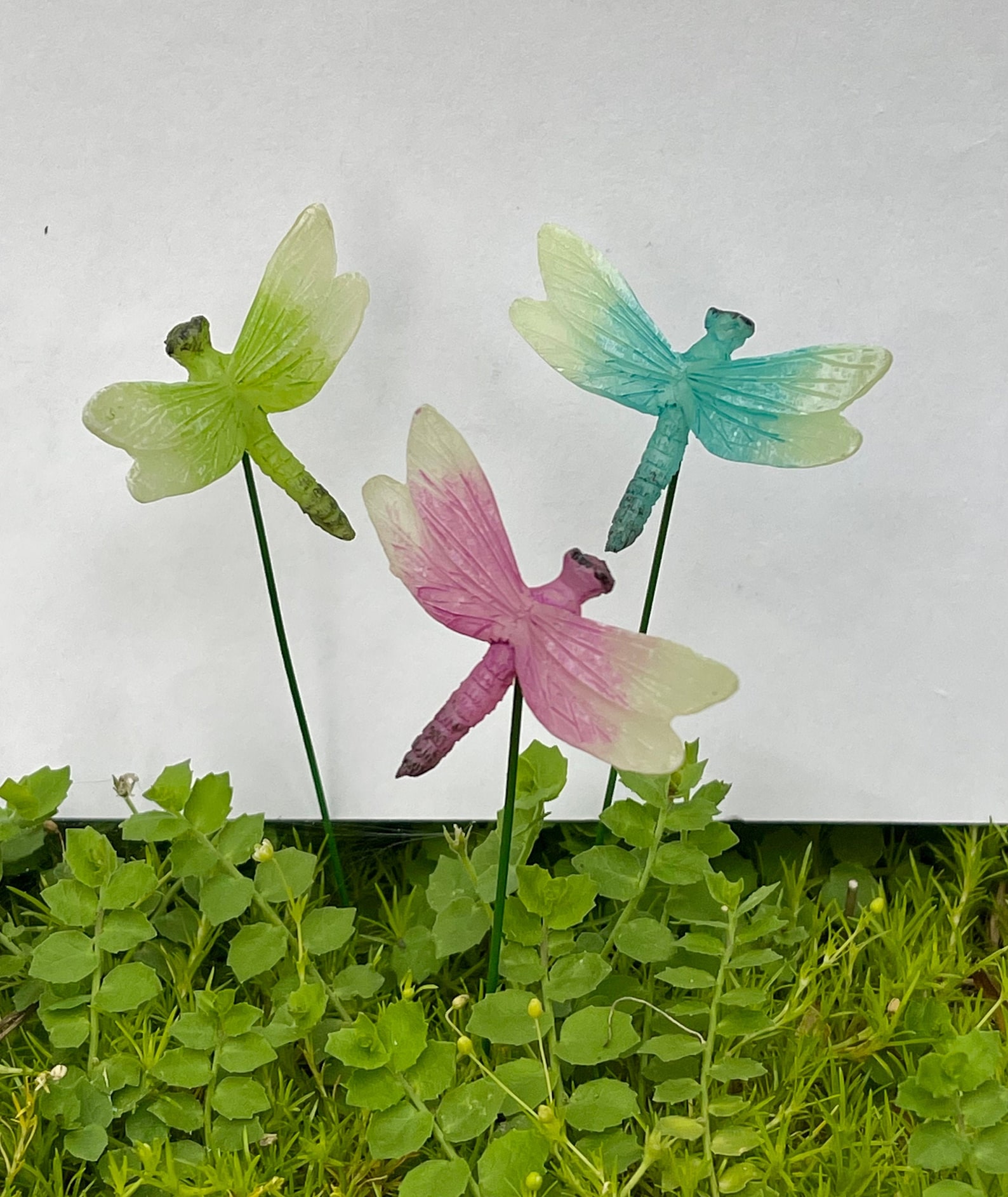 Miniature Dragonflies, Set of 3, Glow-in-the-dark, Fairy Garden ...