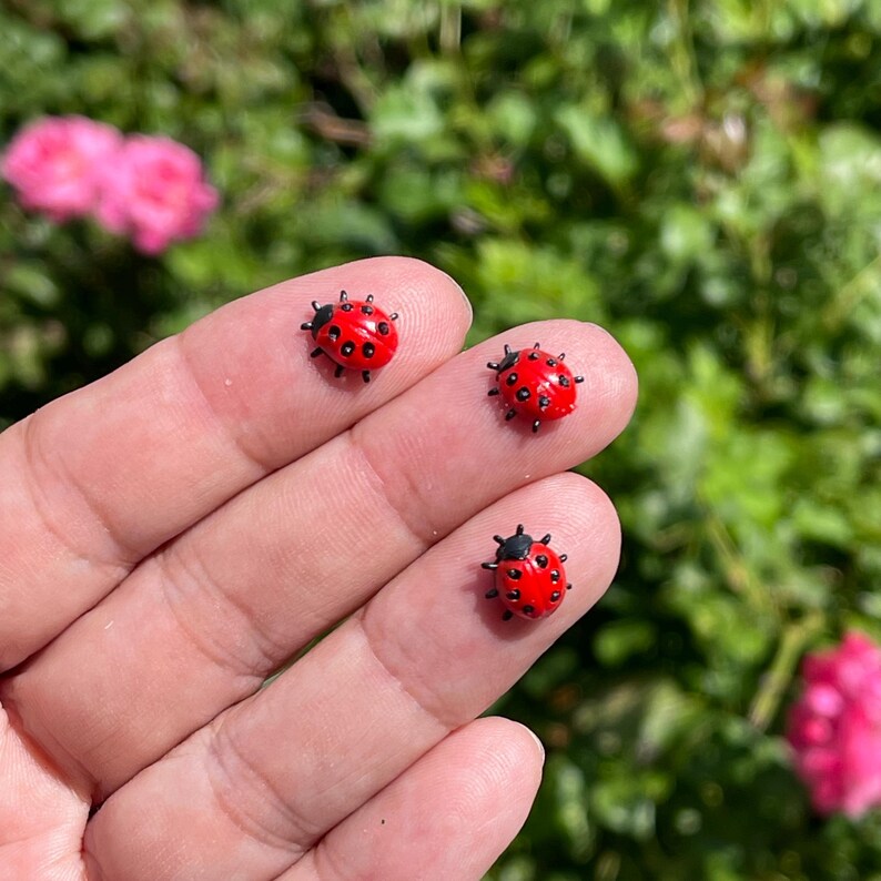 Miniature Ladybug, Tiny Ladybugs, Dollhouse Craft Supplies, Micro Mini ...