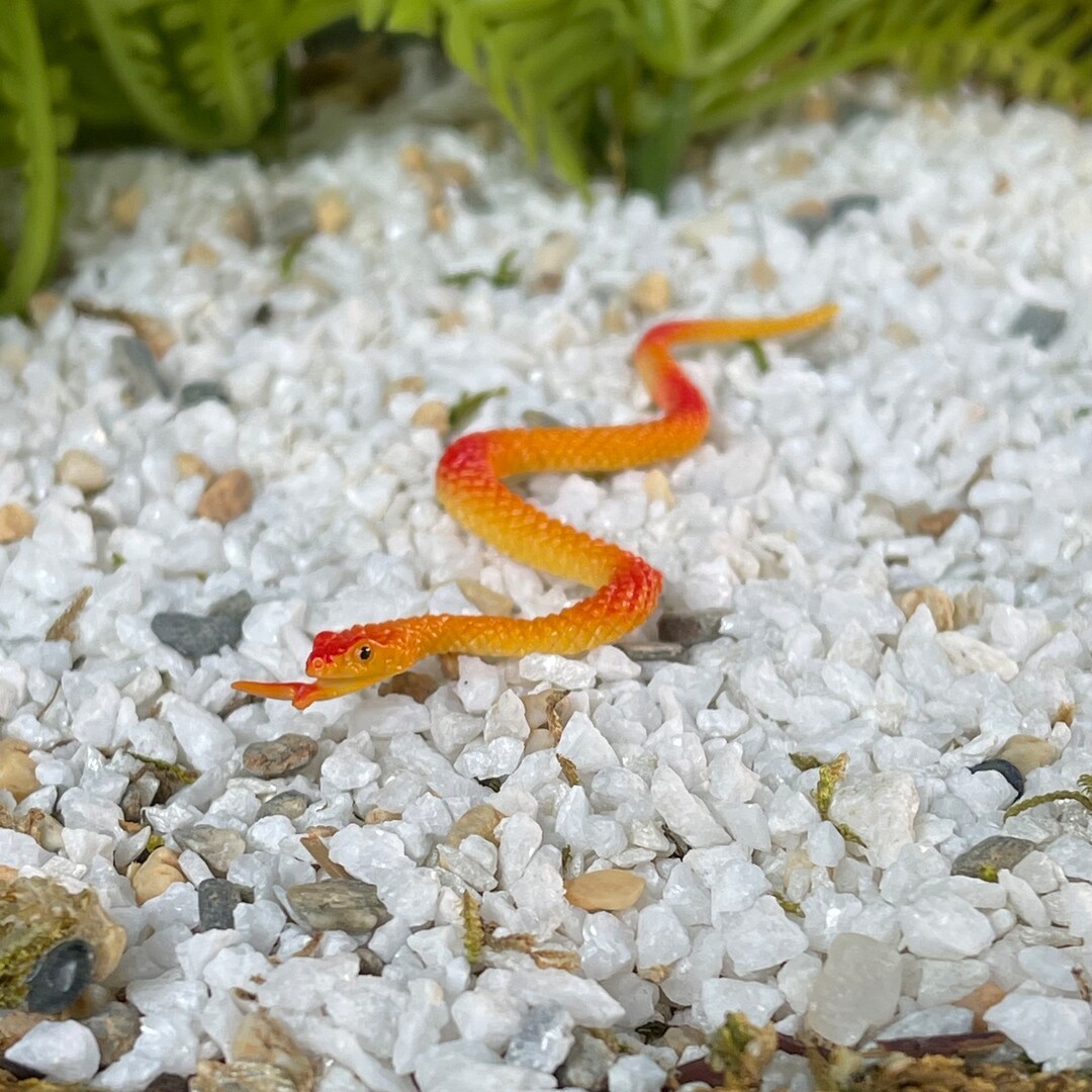 Miniature Snake, Plastic Snake, Miniature Garden Supplies, Terrarium ...