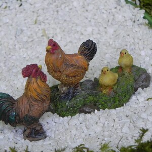 Miniature Chicken Hen Rooster Chicks, Fairy Garden Accessories, Real ...