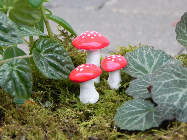 Fairy garden mushrooms miniature woodland toadstool set of 3 | Etsy