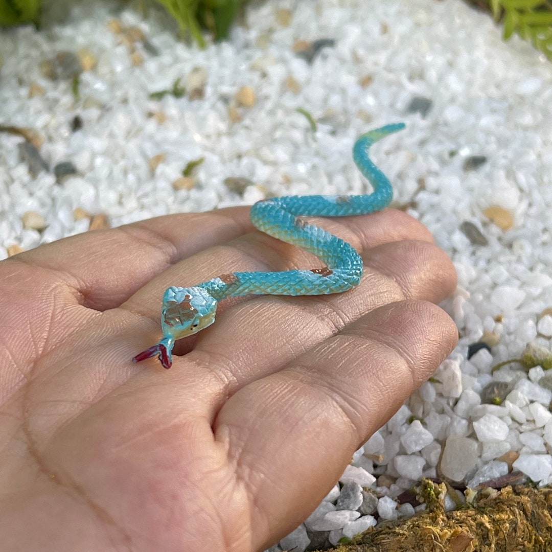 Miniature Snake, Plastic Snake, Miniature Garden Supplies, Terrarium ...