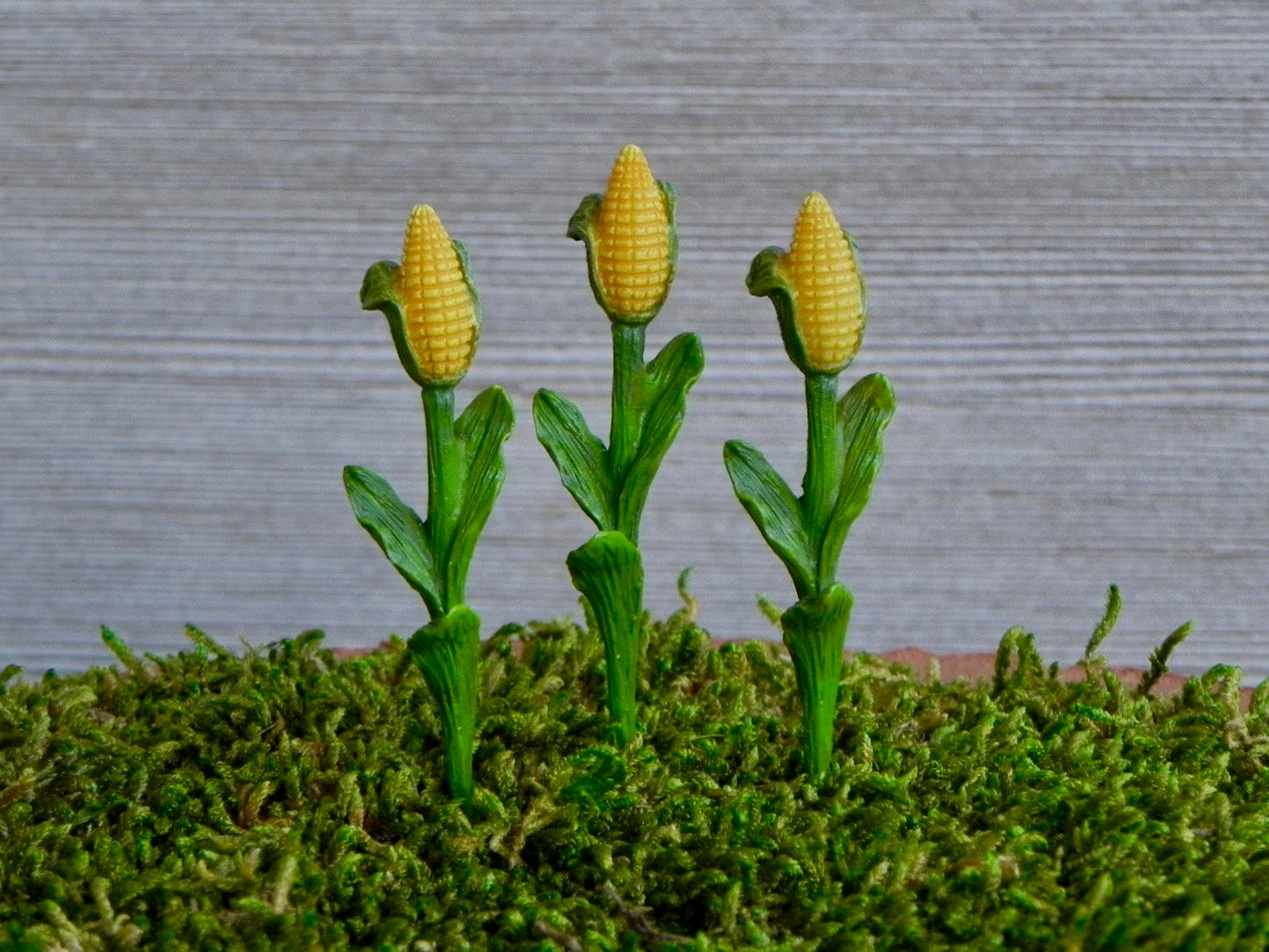 Miniature Corn Stalks, Set of 3, Fairy Garden Accessories, Fall ...