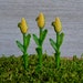 Miniature Corn Stalks, Set of 3, Fairy Garden Accessories, Fall ...
