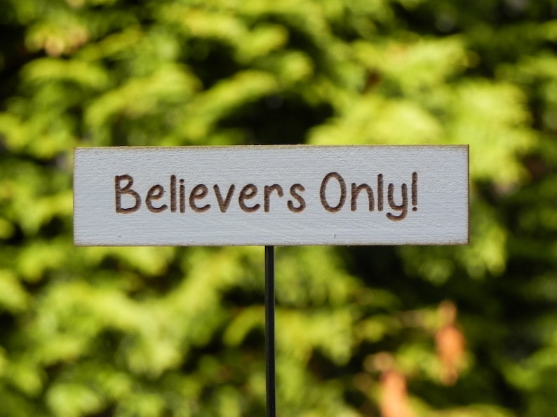 Fairy Garden Miniature Accessories Sign Believers Only for - Etsy