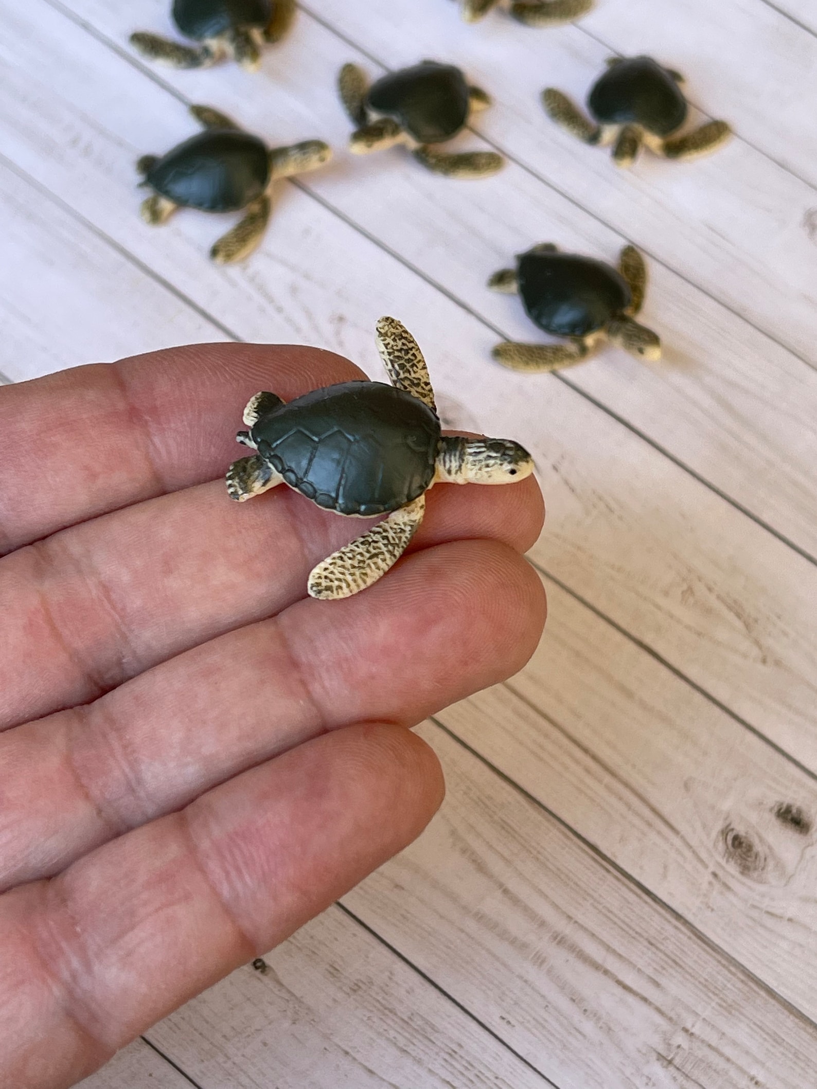 Miniature Sea Turtle, Tiny Figurine, Beach Garden Supplies, Terrarium ...