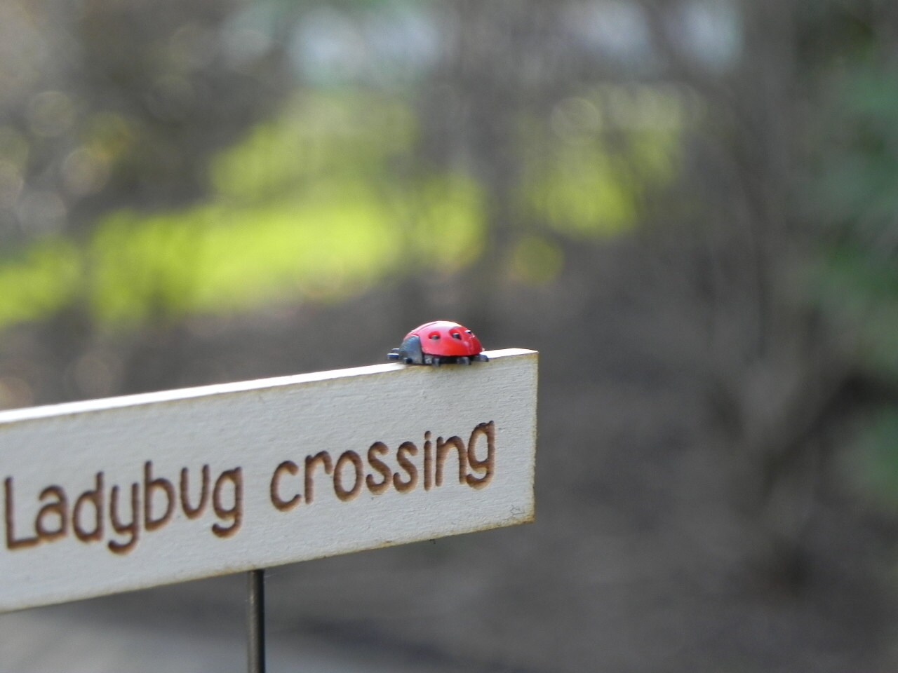 Miniature Ladybug and Sign, Fairy Garden Accessories, Ladybug Crossing ...