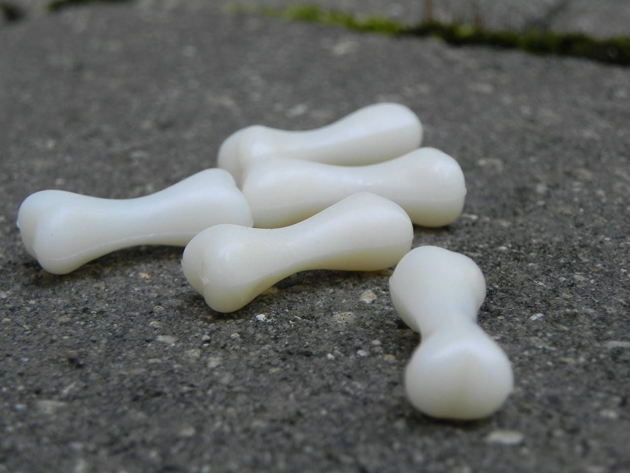 Miniature Bones Halloween Miniatures Fairy Garden | Etsy