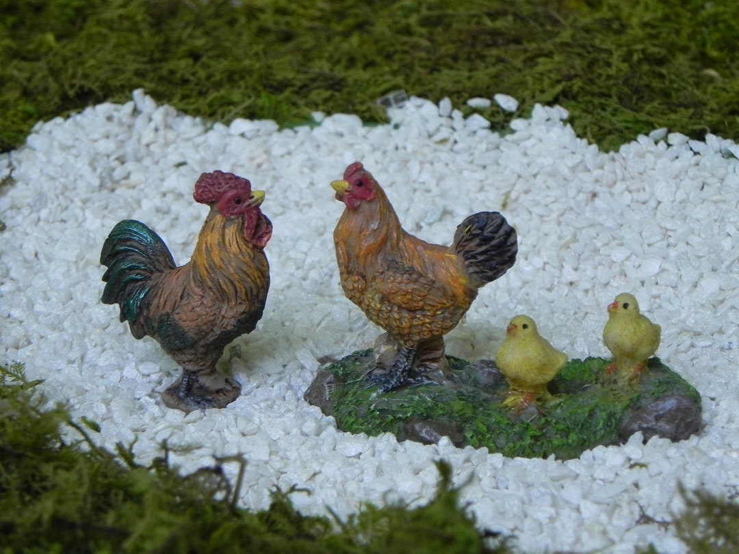 Miniature Chicken Hen Rooster Chicks, Fairy Garden Accessories, Real ...