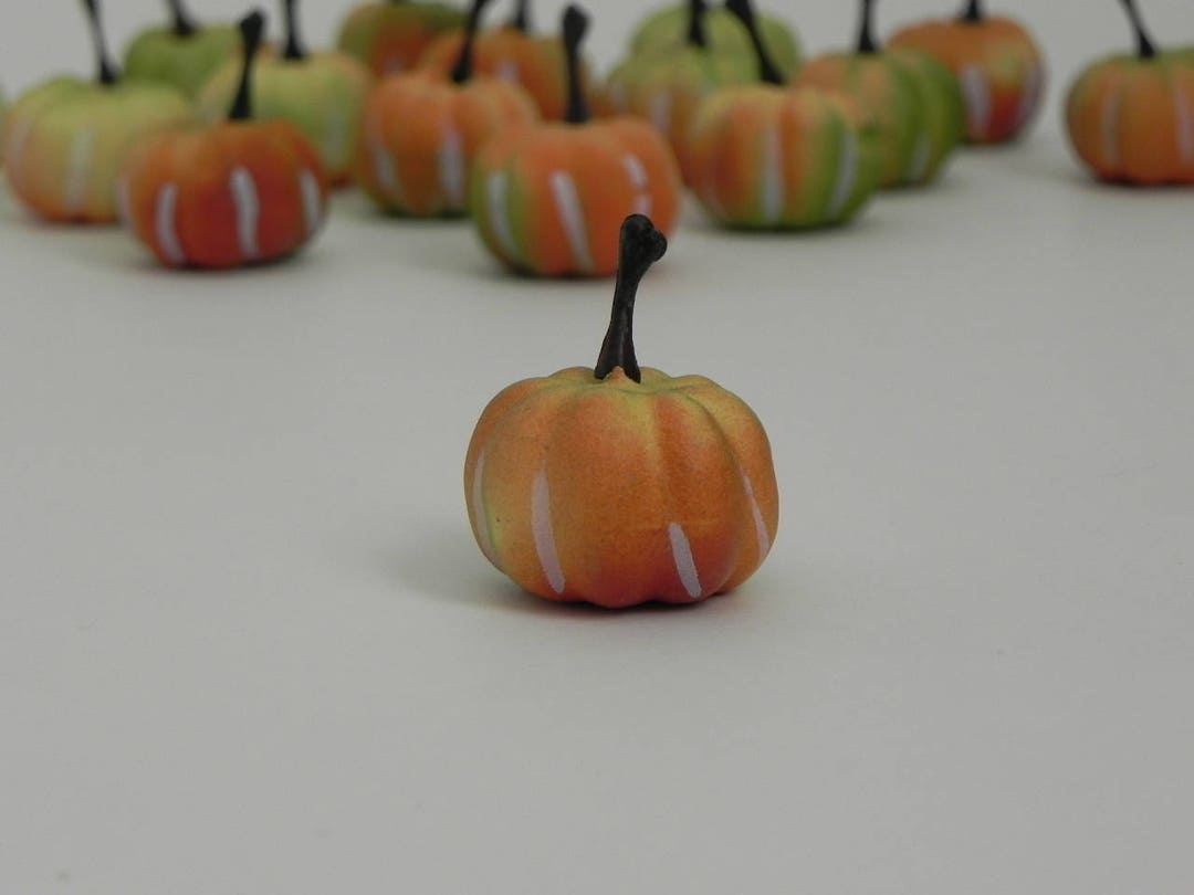Miniature Ornamental Pumpkins, Fairy Garden, Terrarium Supplies, Gourd ...