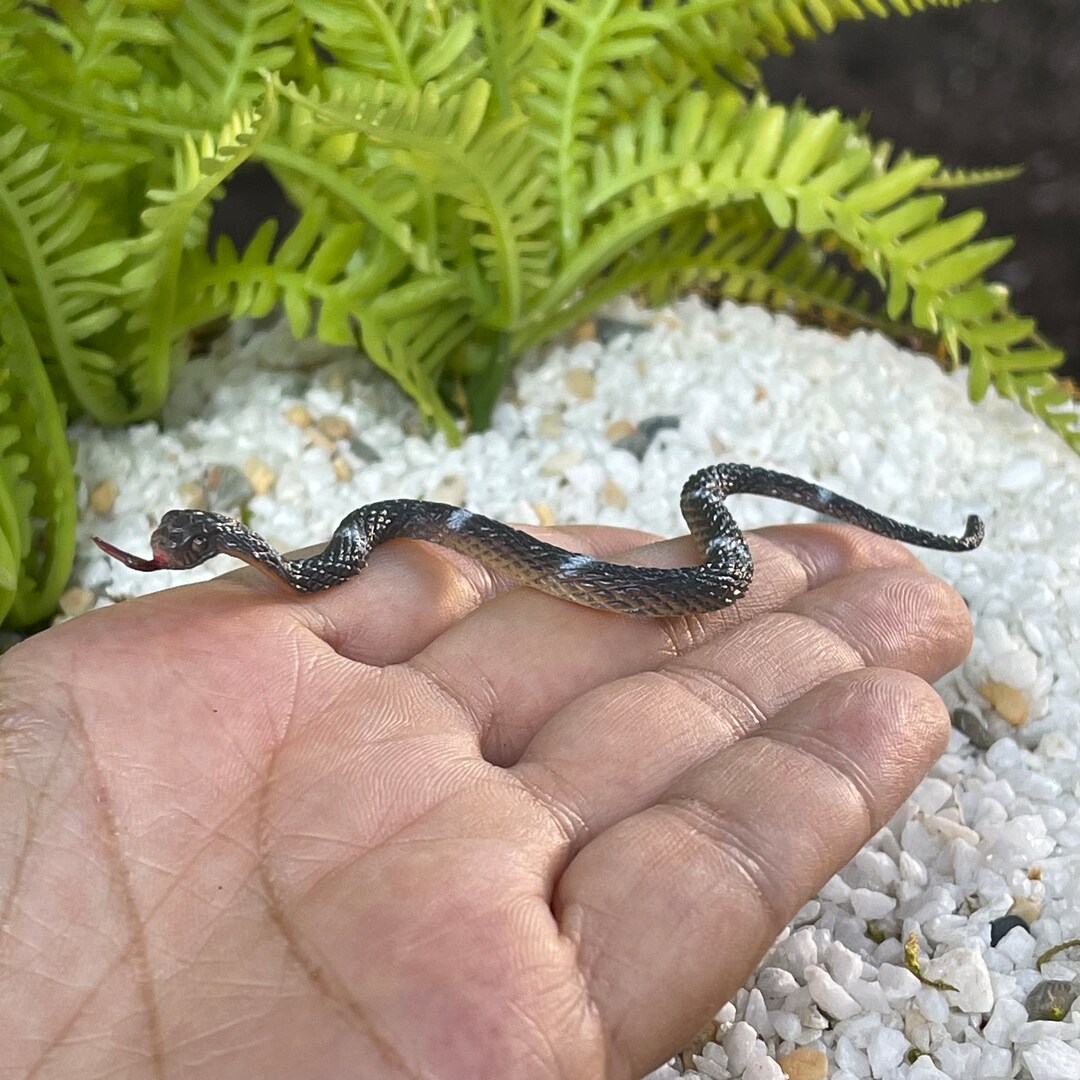 Miniature Snake Plastic Snake Miniature Garden Supplies - Etsy