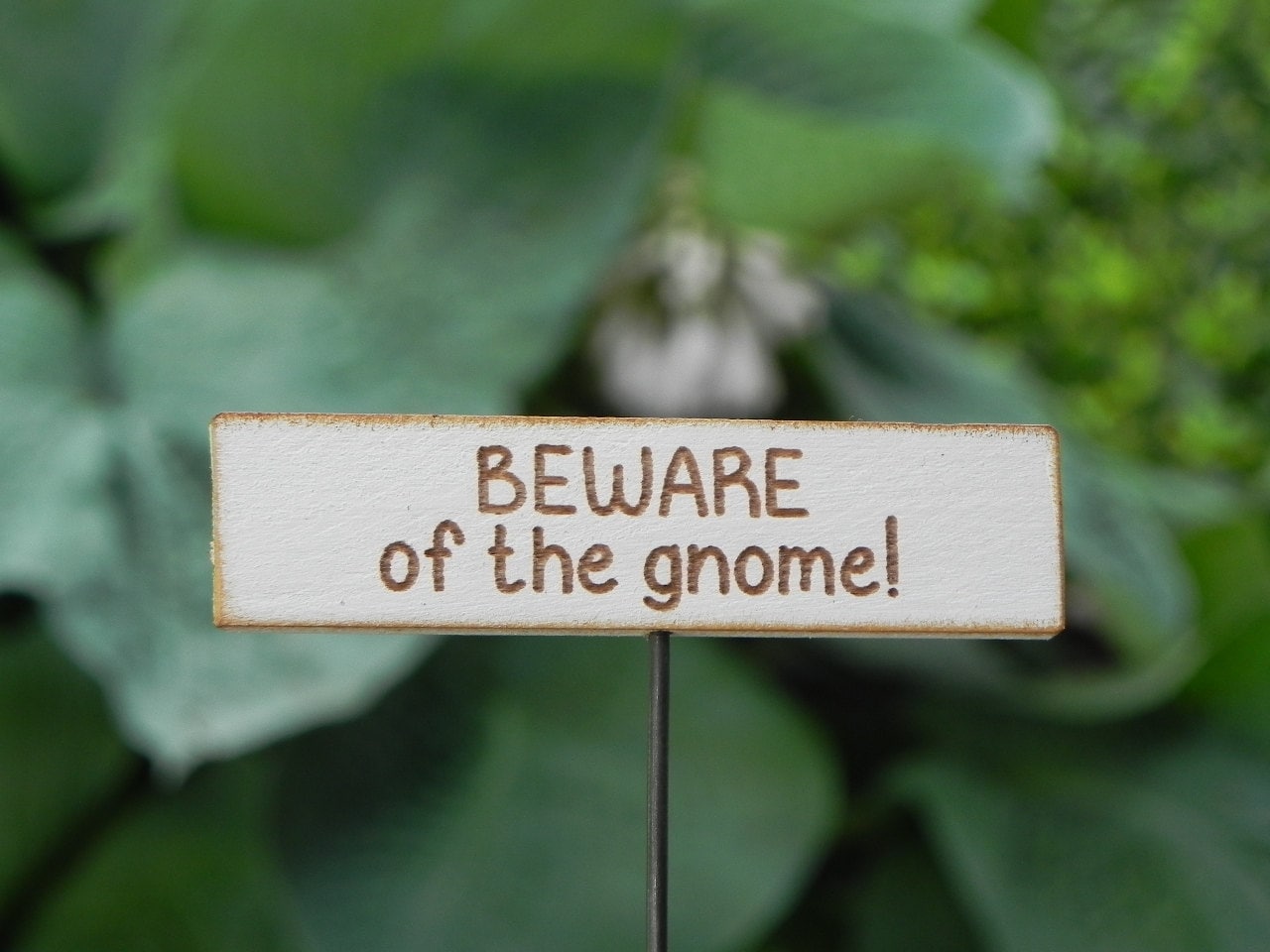 Fairy Garden sign accessories miniature BEWARE of the gnome | Etsy