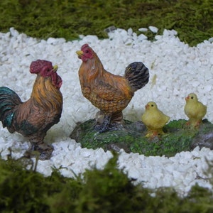 Miniature Chicken Hen Rooster Chicks, Fairy Garden Accessories, Real ...
