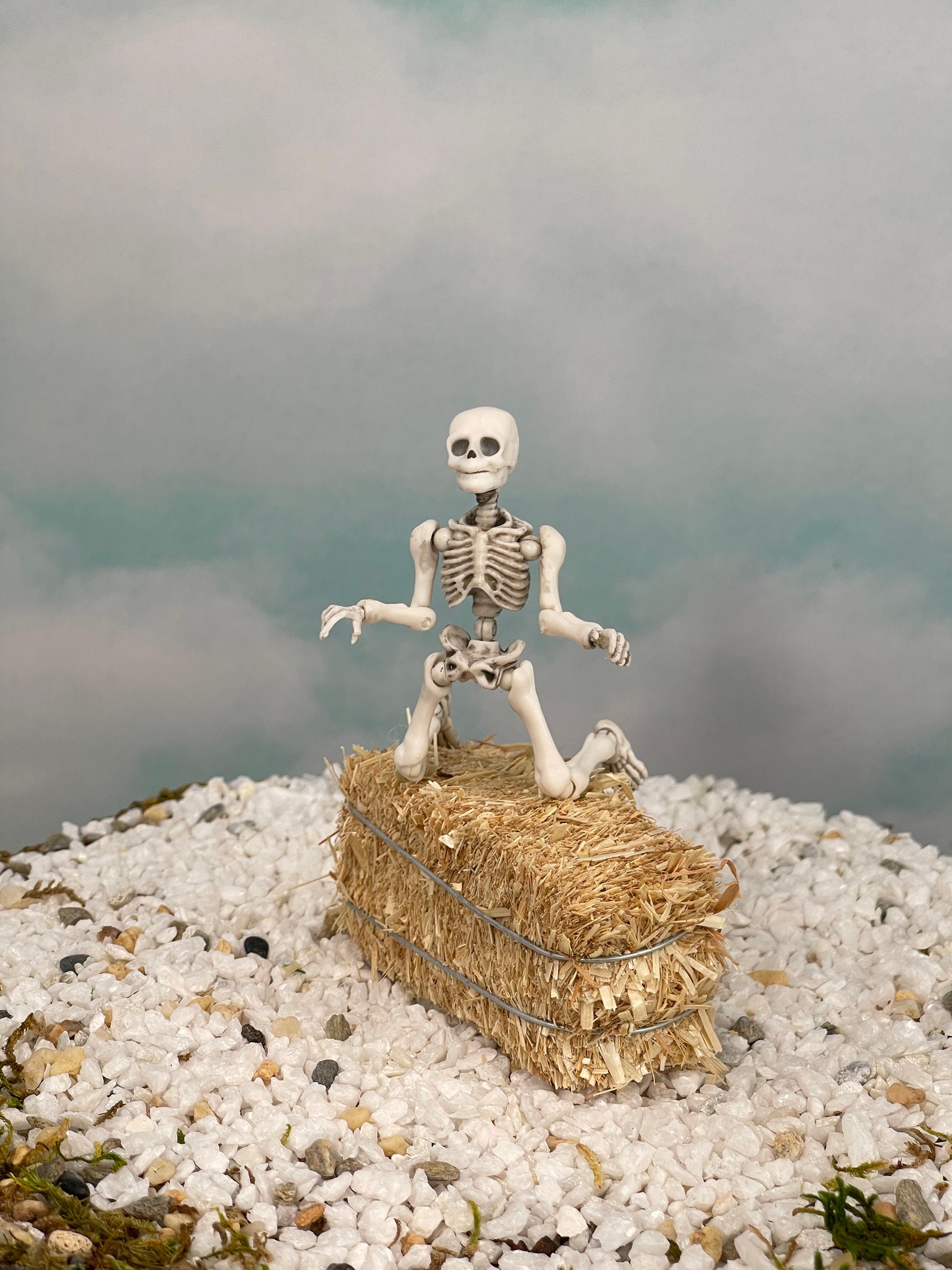 Halloween Miniatures Miniature Posable Skeleton Miniature - Etsy