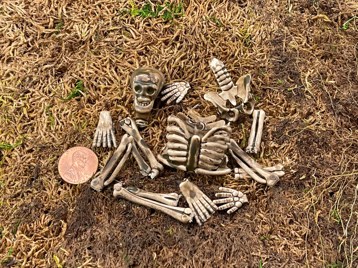 Miniature Skeleton Bones Miniature Shovel Mini Pile of - Etsy